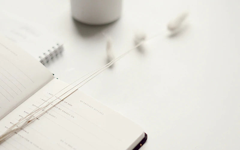 How To Create the Perfect Daily Routine – STIL